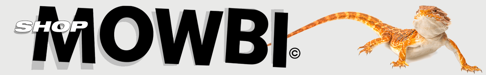 Bearded Dragon Mugs – Mowbi