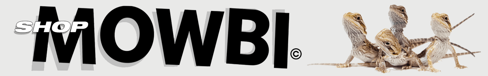 Bearded Dragon Shirts – Mowbi